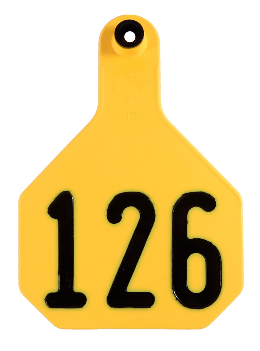 Y-Tex Large, Numbered (25) Color: Yellow Number: 76-100 - Walmart.com