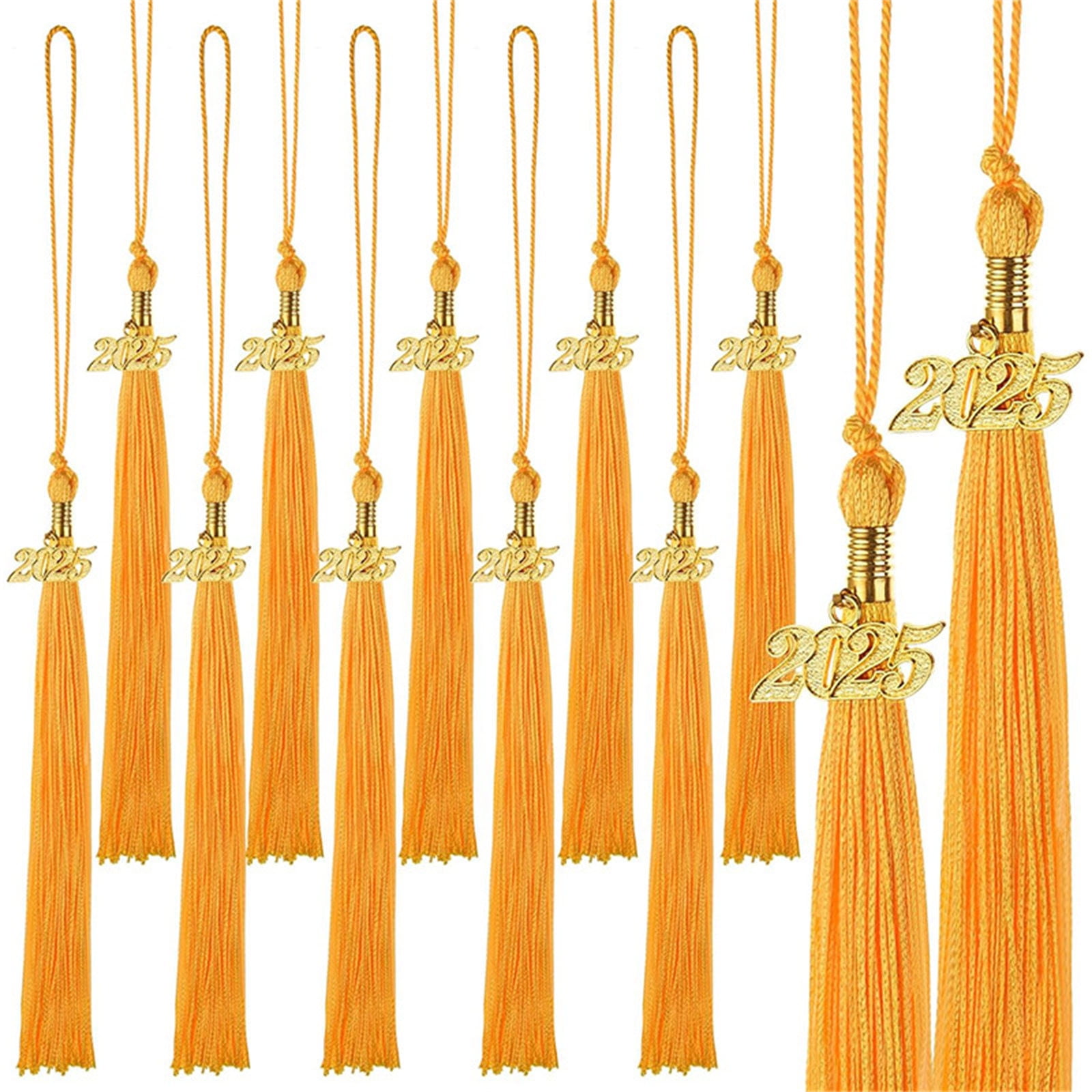 YAMB 2025 Graduation Tassel,10 Pieces Graduation Hat Decoration Tassel ...
