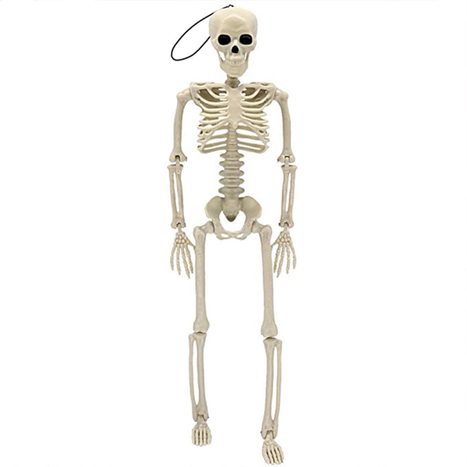 YAMB Halloween Decoration Outdoor Skeleton - 15" Plastic Full Body ...