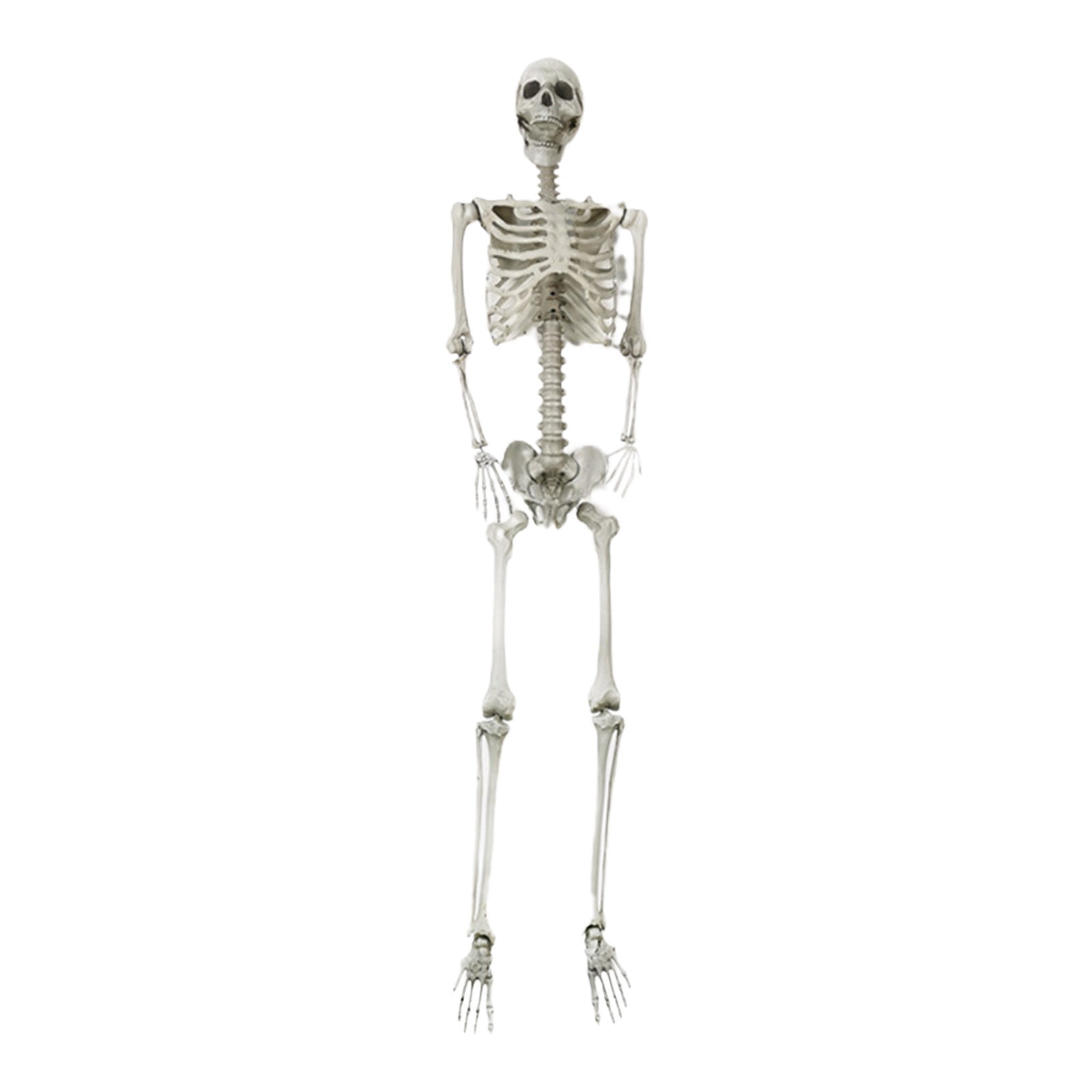 YAMB Halloween Decoration Outdoor Skeleton,73" Plastic Posable Skeleton ...