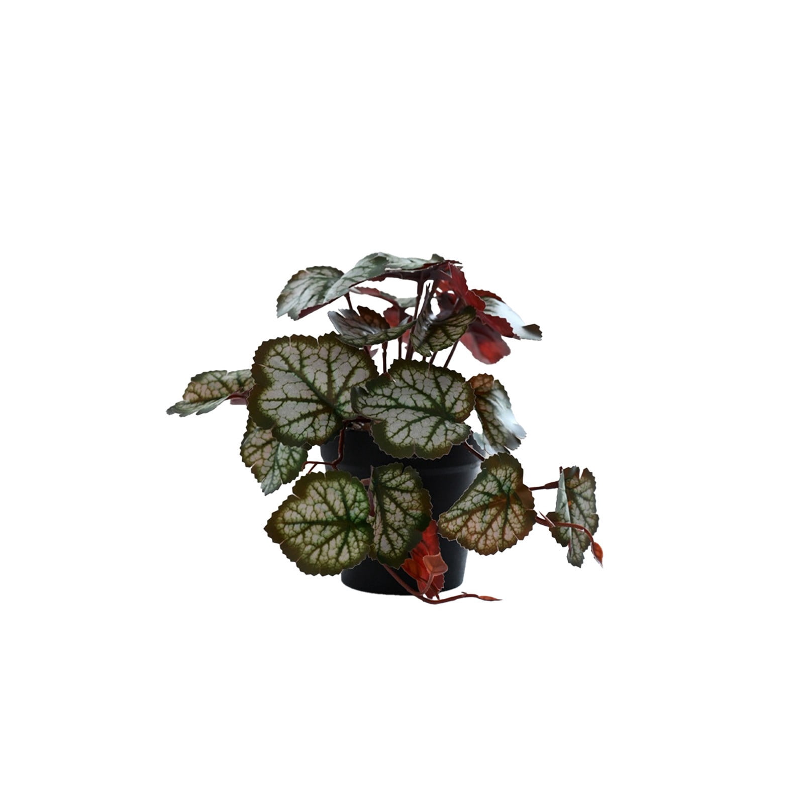 YAMB Simulation Begonia Plant Potted Home Living Room Decoration ...