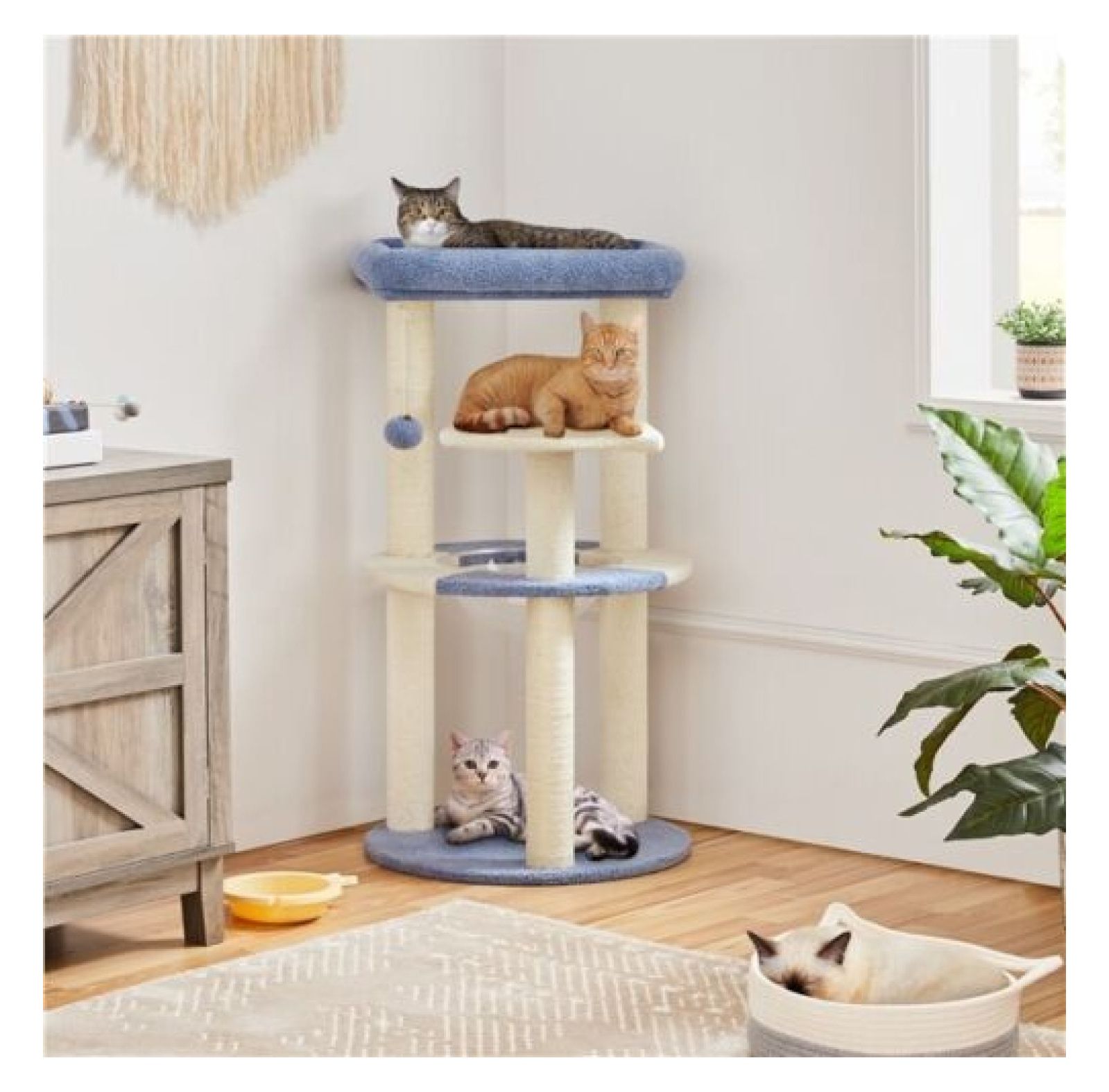 YANFEN 35in Cat Tree with Space Capsule Cat Furniture with Hanging ...