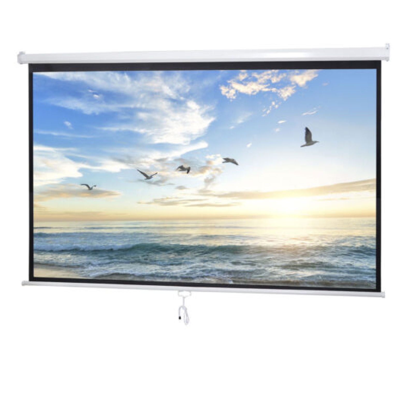 YANFEN Projection Screen Manual Pull Down Projector Movie Screen 72"/80 ...