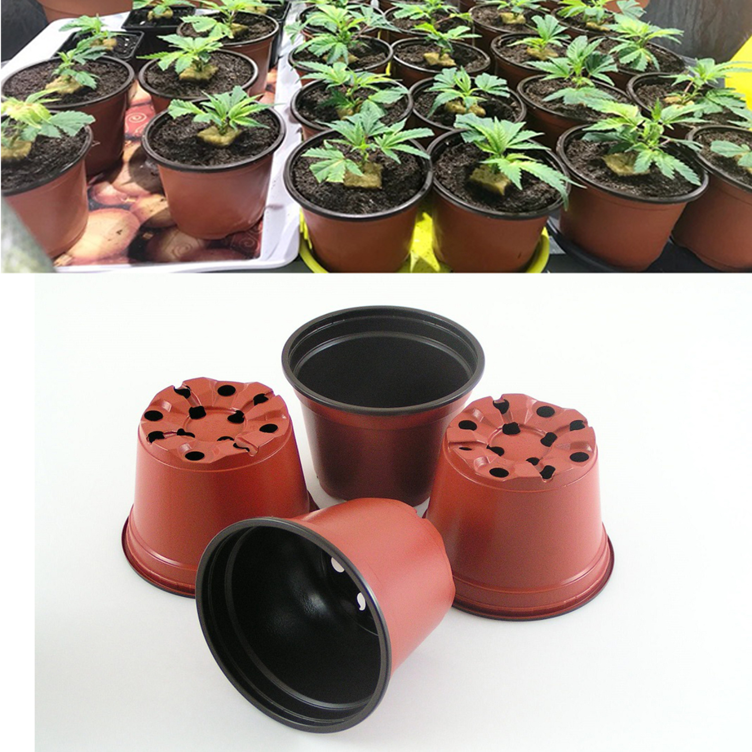 YANGCYY Plastic Nursery Seedling Pots for Seeds Germination Growing ...