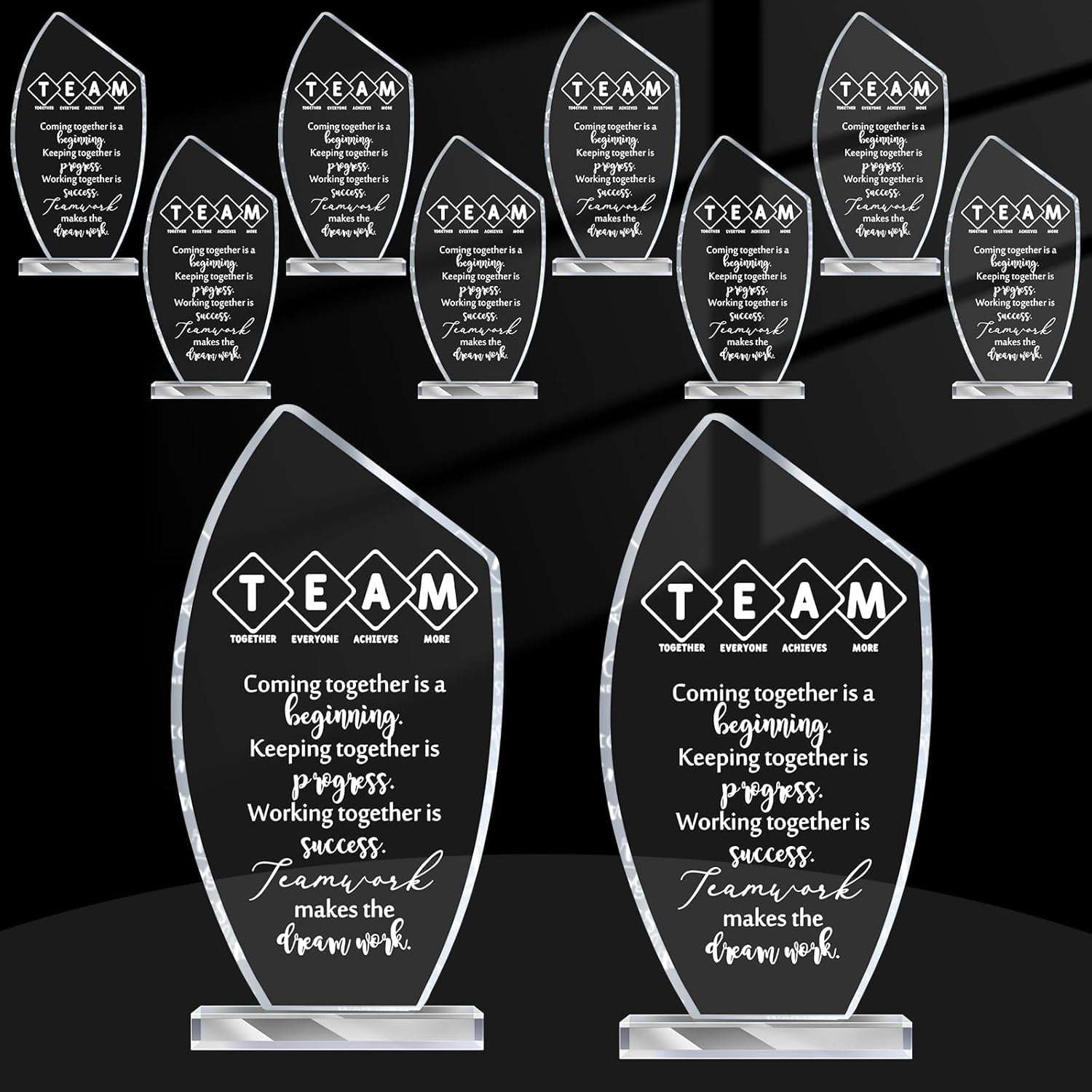 YANGLI 10 Pcs Employee Appreciation Awards – Acrylic Thank You Trophy ...