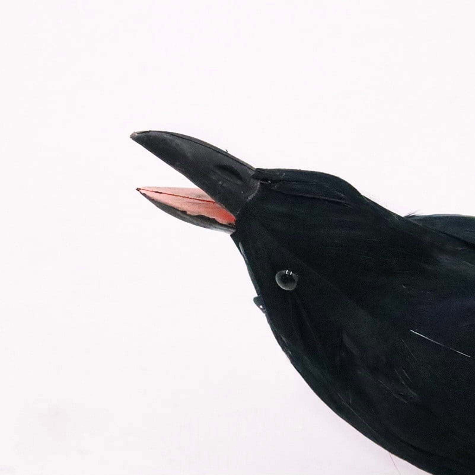 YANHAIGONG Halloween Birds,Black Feathered Crows,Black Feathered Crows ...
