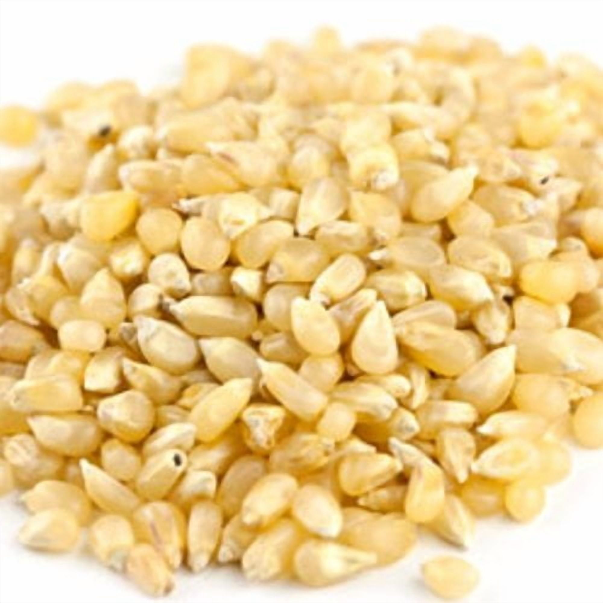 YANKEETRADERS® Ladyfinger Popcorn (Hull-less, Tender Popcorn) 1 3/4 Lb ...