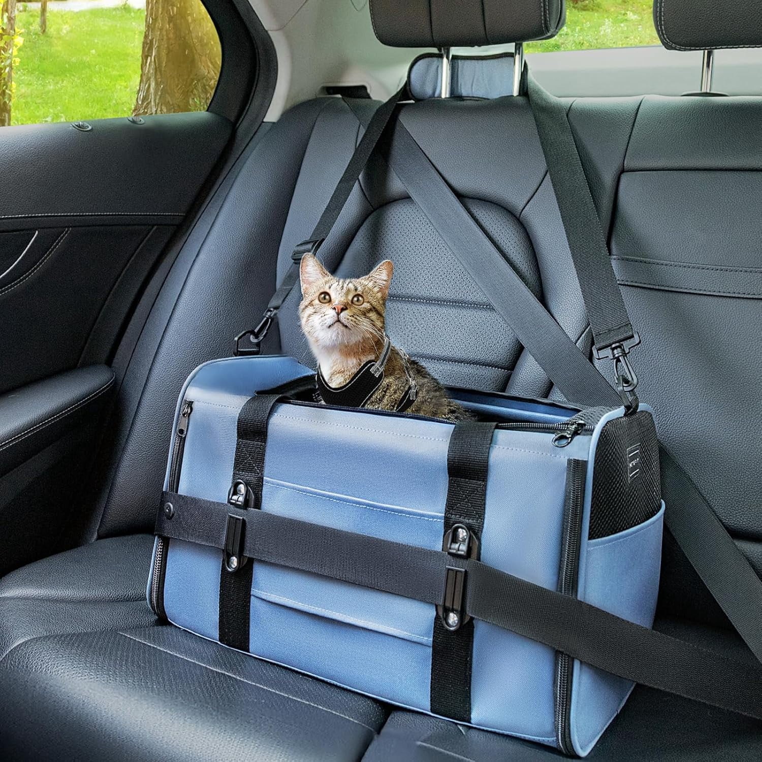 YANTONG Cat Car Carrier for Medium Cats Dogs, 19"x12"x12" Small Dog ...