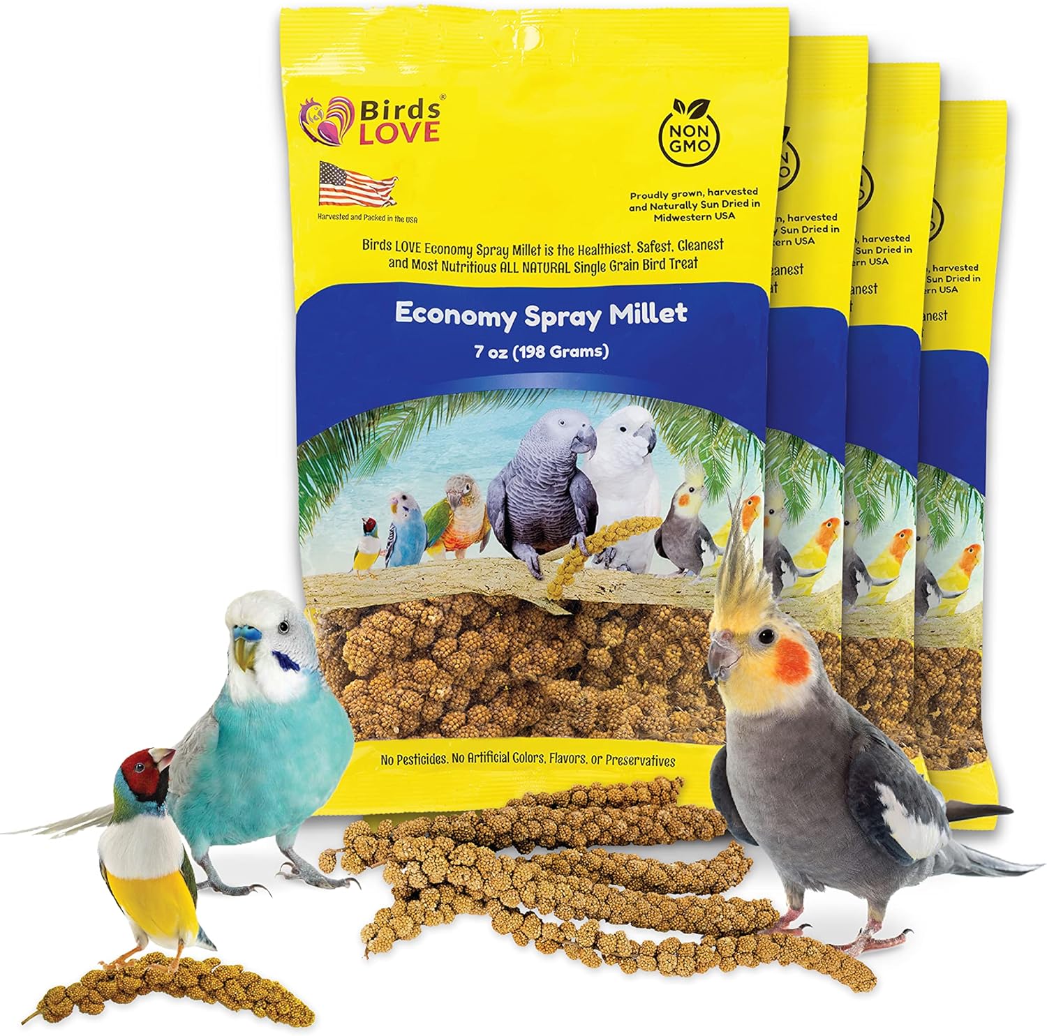 YANTONG Economy Special Spray Millet - GMO-Free (No Stems Only Edible ...