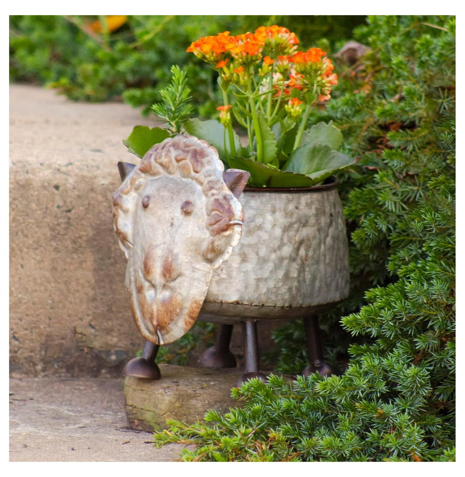 YASHYANNA Galvanized Metal Farm Animal Flower Planter Containers (Sheep ...