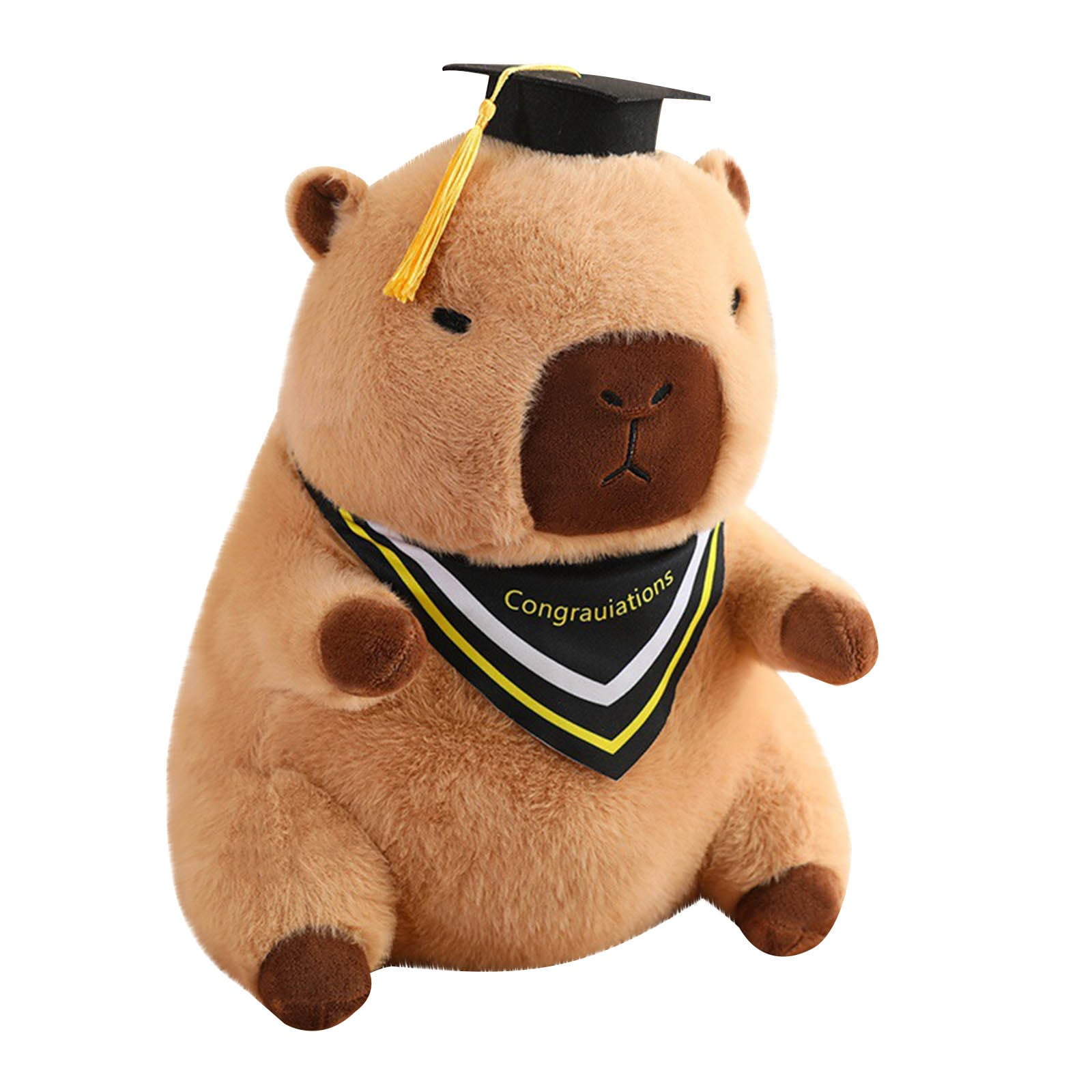 YATLTE Capybara Plush, Cute Bachelor Capybara Plush Toy, Graduation ...