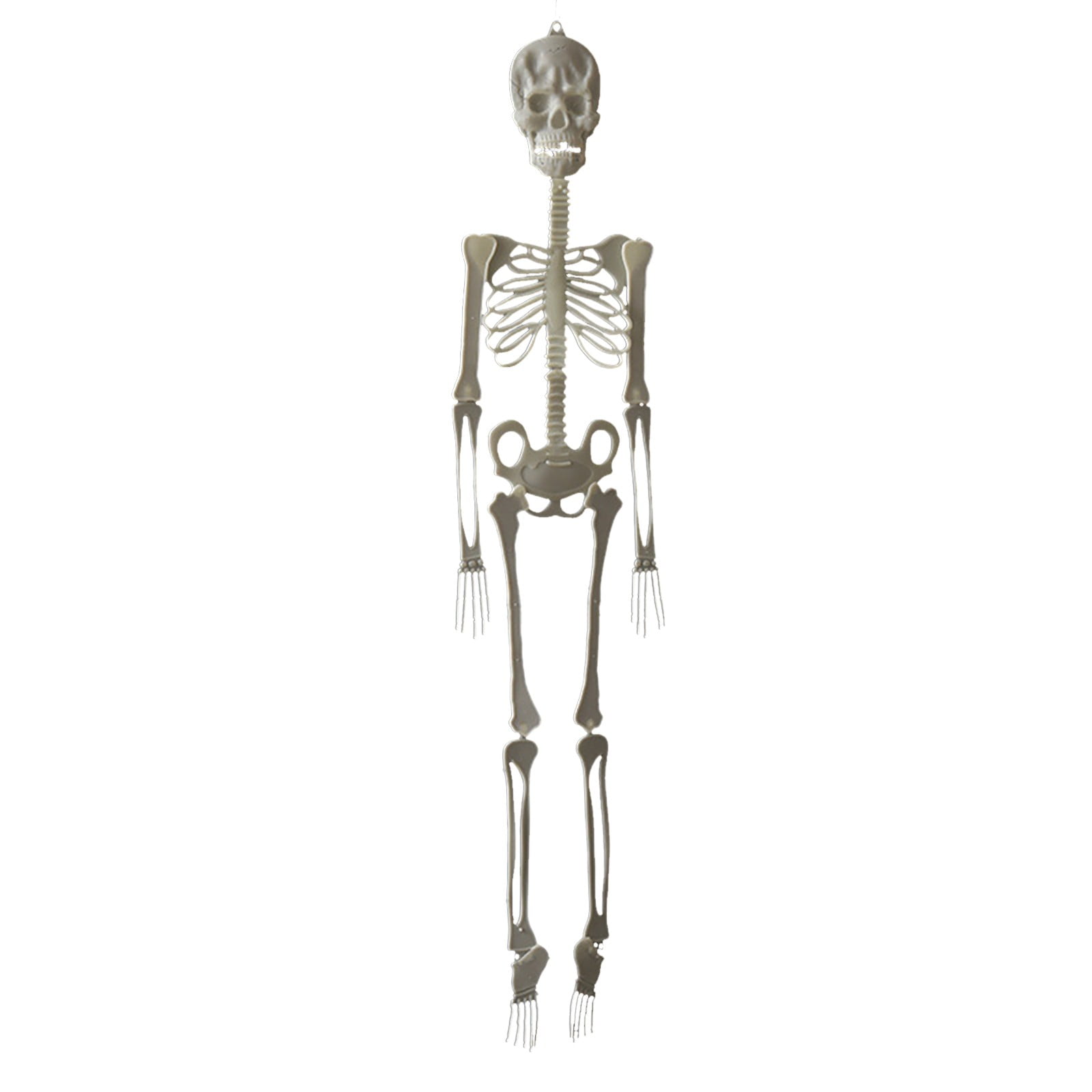 YAYUBA 150cm Full Body Skeleton Realistic Human Skeleton, Luminous ...
