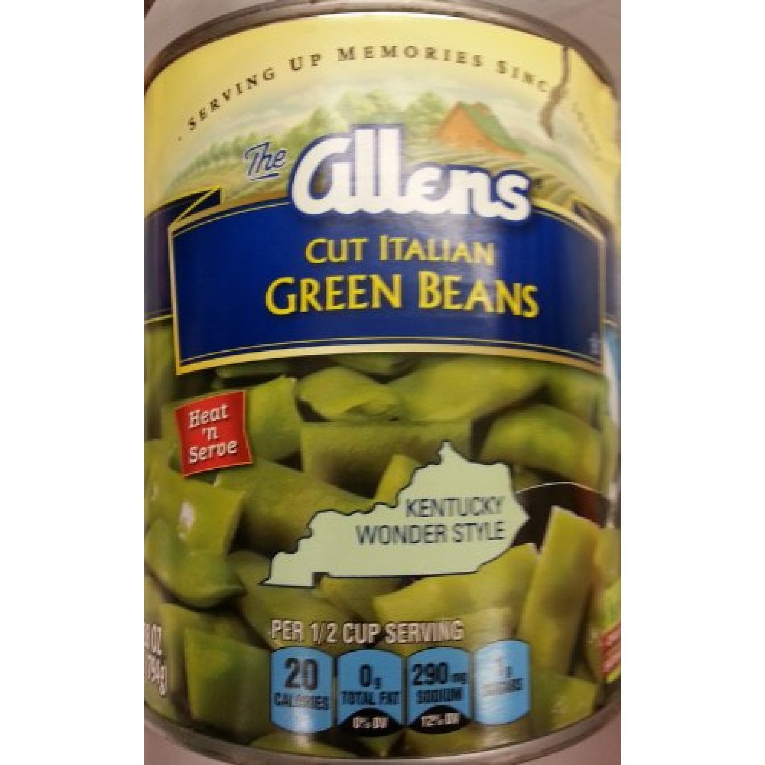 YBQF Cut Italian Green Beans Kentucky Wonder Style 28 Ounce (Pack of 4 ...