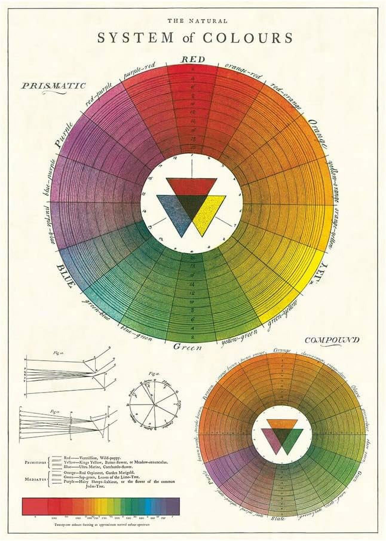 YCCJ-Decorative Wrap Poster, Color Wheel, 20 x 28 inch Italian Archival ...