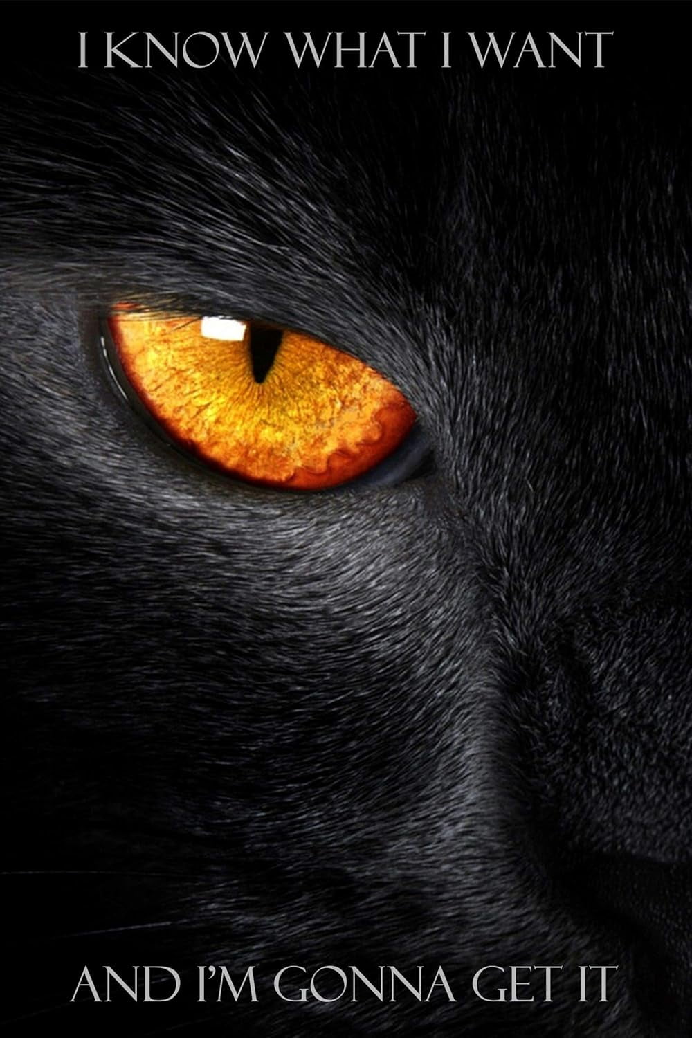 YCCJ- Most Popular Black Panther Theme Quote Posters Power Strength ...