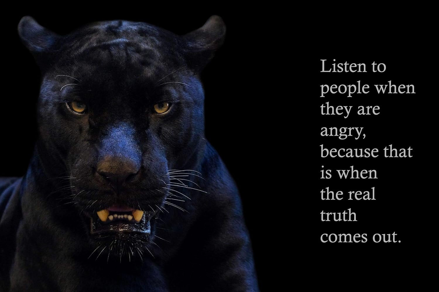 YCCJ- Most Popular Black Panther Theme Quote Posters Power Strength ...