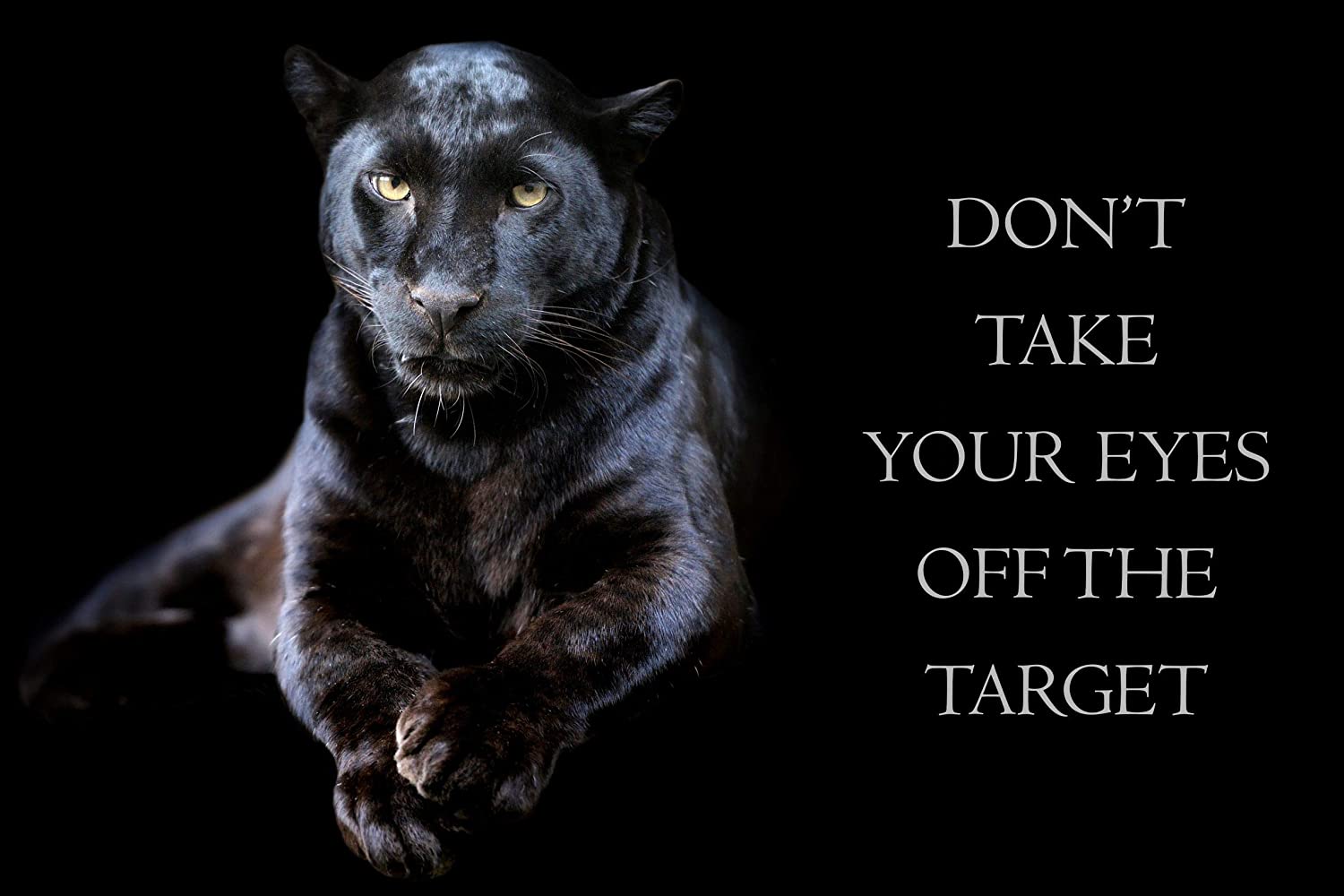 YCCJ- Most Popular Black Panther Theme Quote Posters Power Strength ...