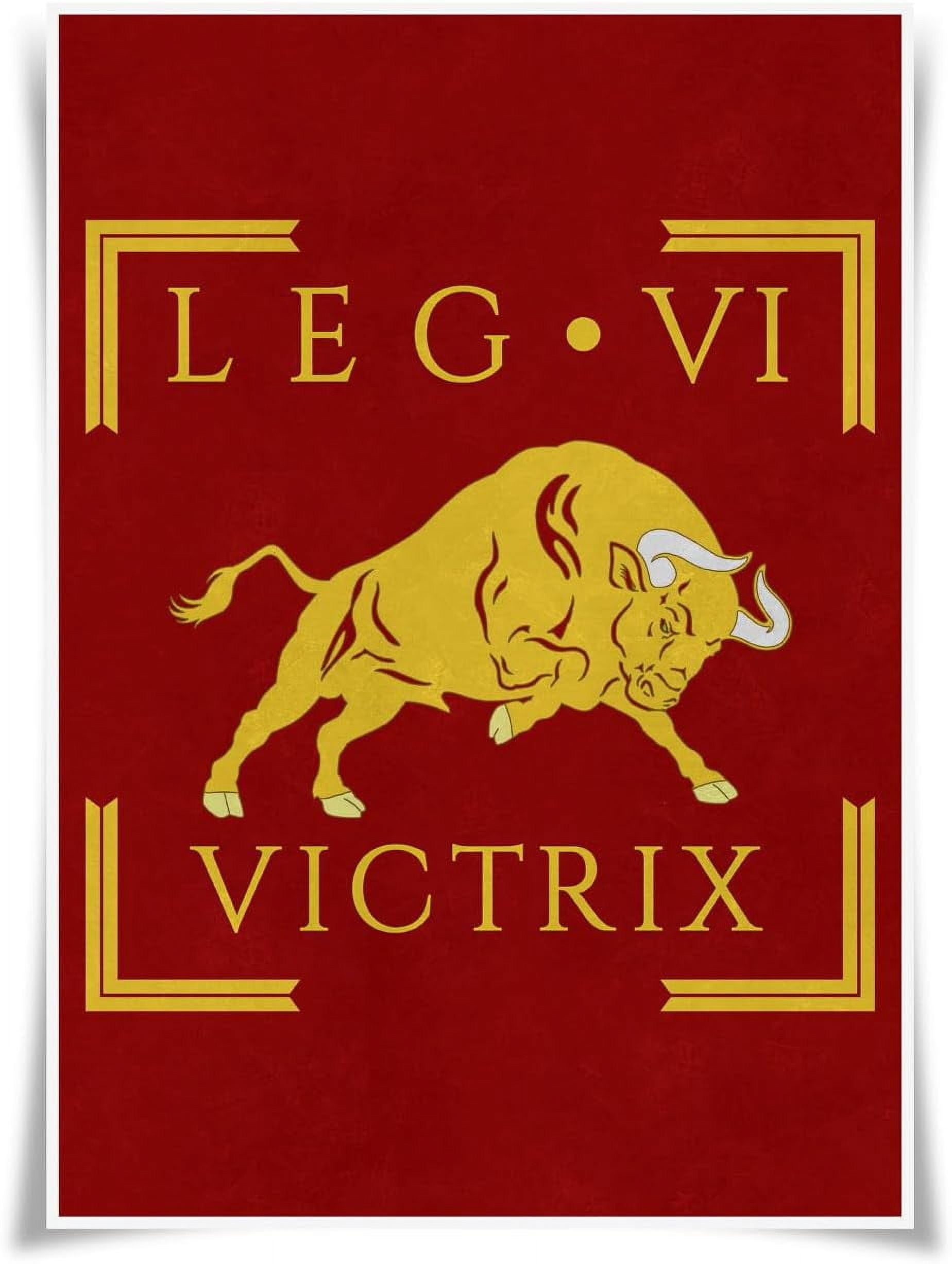 YCCJ-Roman Legion Flag Poster Fabric Print - Ancient Roma History Art ...
