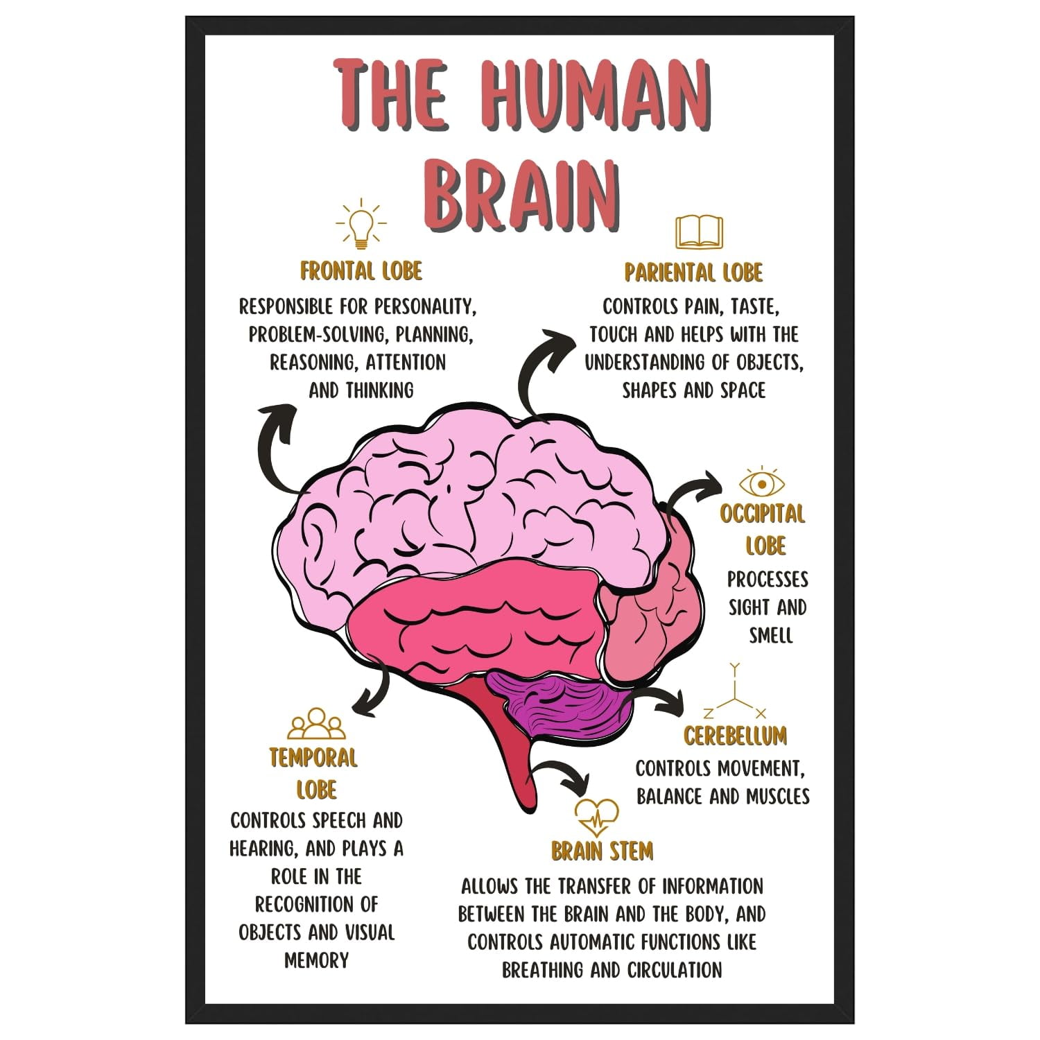 YCCJ-The Human Brain Poster, Mental Health Office Print, Therapy Decor ...