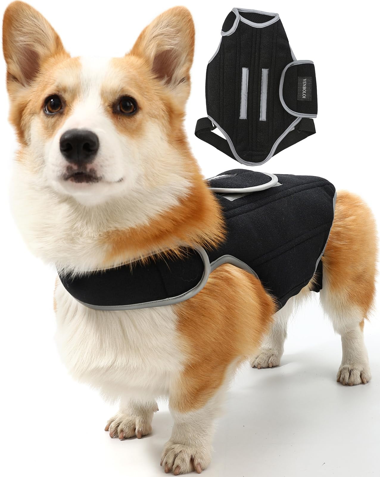 YENBOLOI Dog Back Brace for IVDD, SMRArthritis and Pain Relief, Canine ...