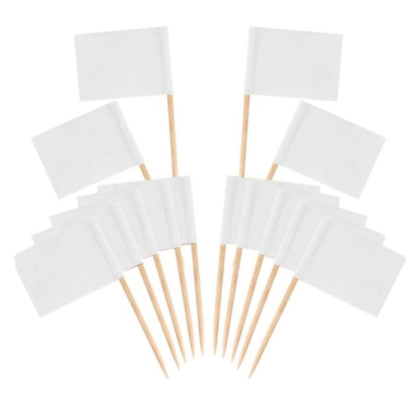 2 Boxes of Mini Turkey Toothpick Flags, 200 Small International Flag ...