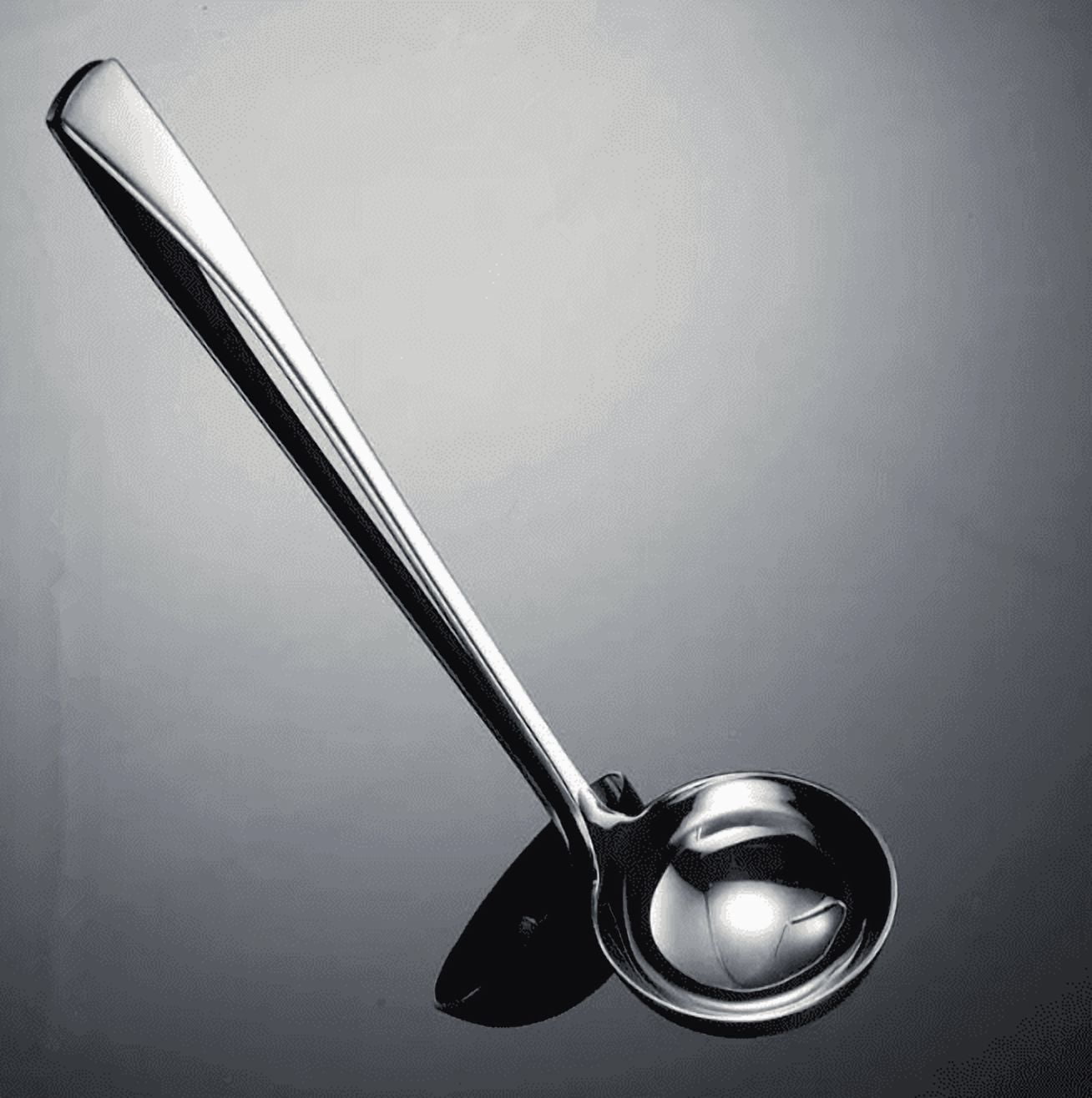 YEyangqi Soup Gravy Ladle Heavy Duty Ladle 18/10 Stainless Steel 11 ...