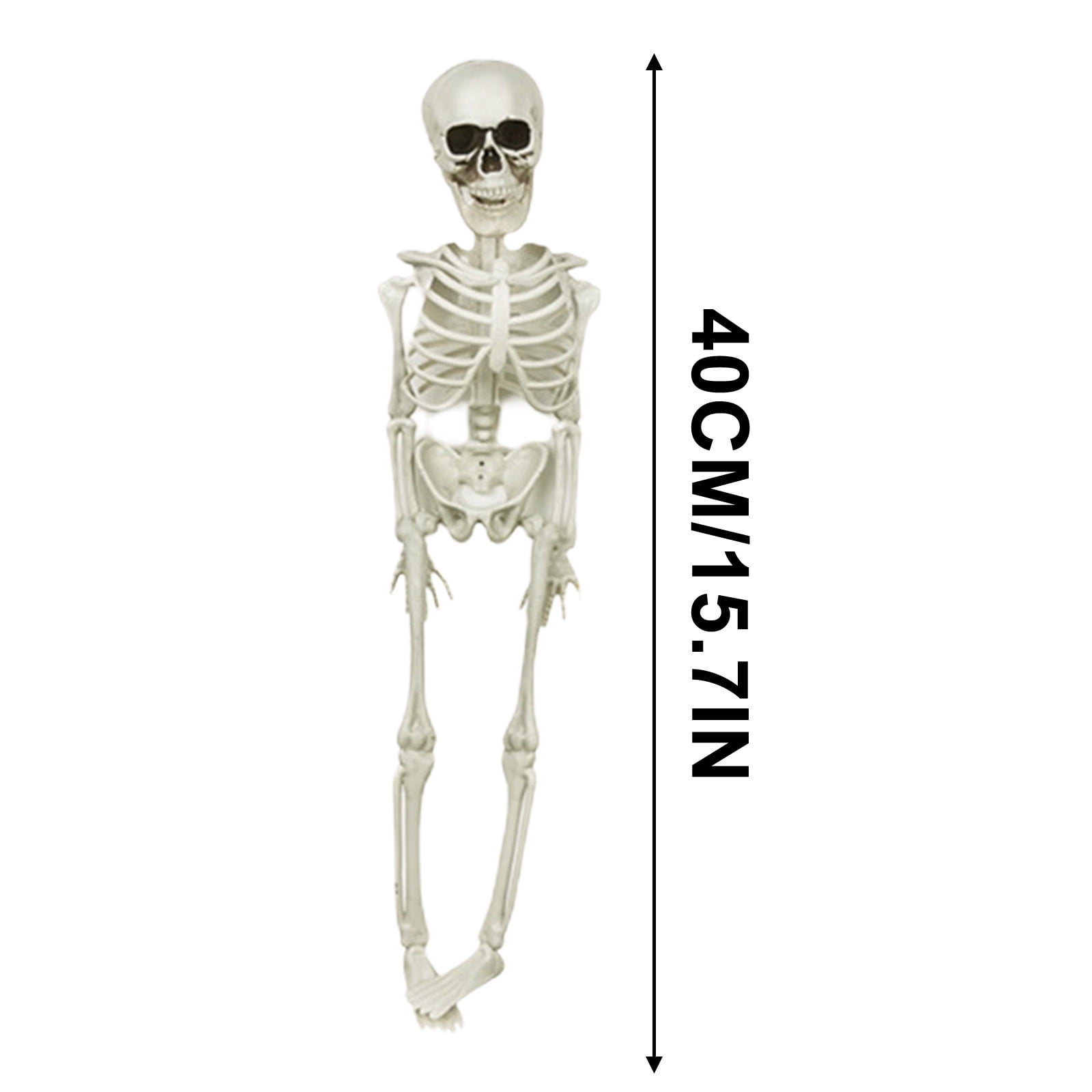 YFTDEF Posable Halloween Skeleton Decoration, Realistic Detail, Durable ...