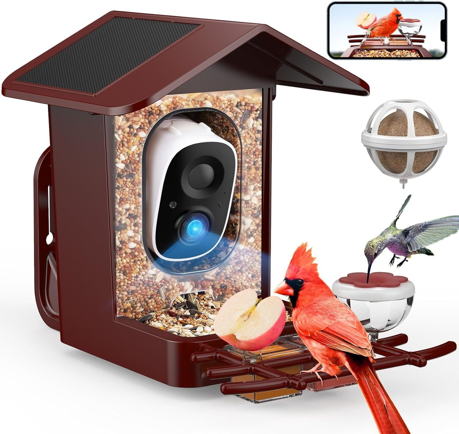 YHDS® Bird Feeder with Camera Solar Powered, AI Identify & Auto Capture ...