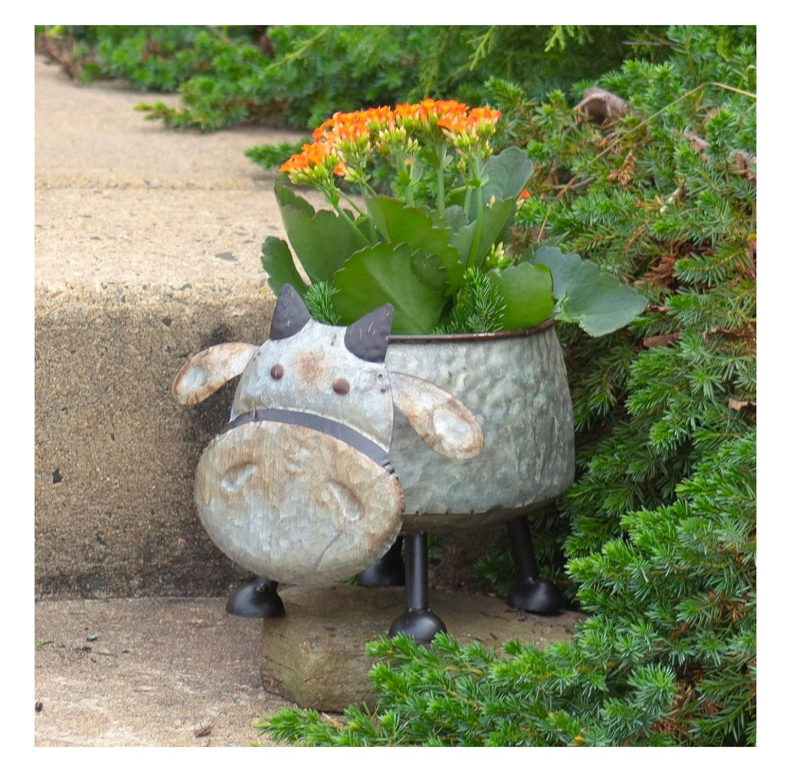 YIDOADFEAP Galvanized Metal Farm Animal Flower Planter Containers (Cow ...