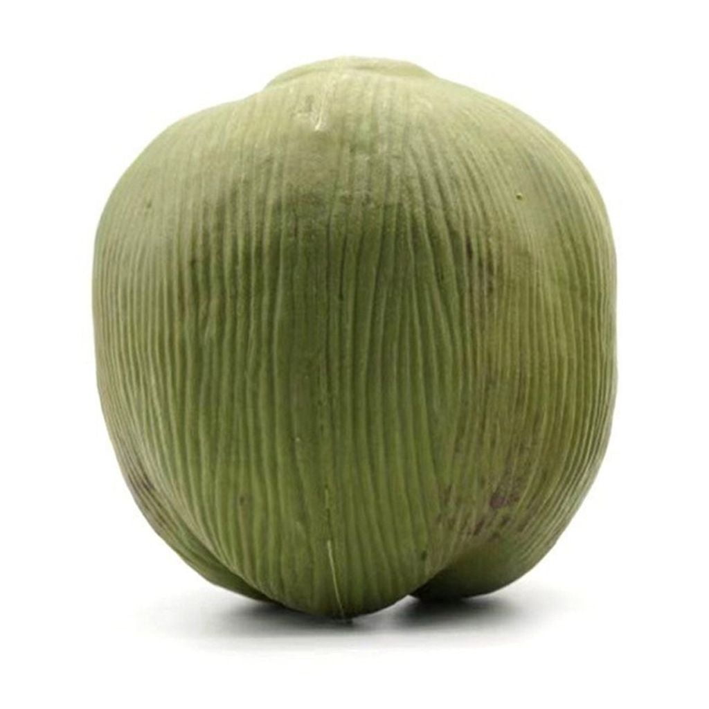 YIEMEEN Artificial Coconuts Simulation Coconut Fake Coconuts Tropicals ...