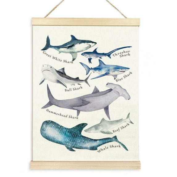 YIGSECU Animal Themed Poster Whales Educational Poster for Homeschools ...