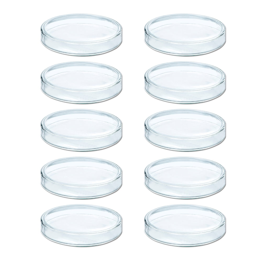 YIGSECU Laboratory-Grade Glass Petri Dishes for Culturing Cells ...