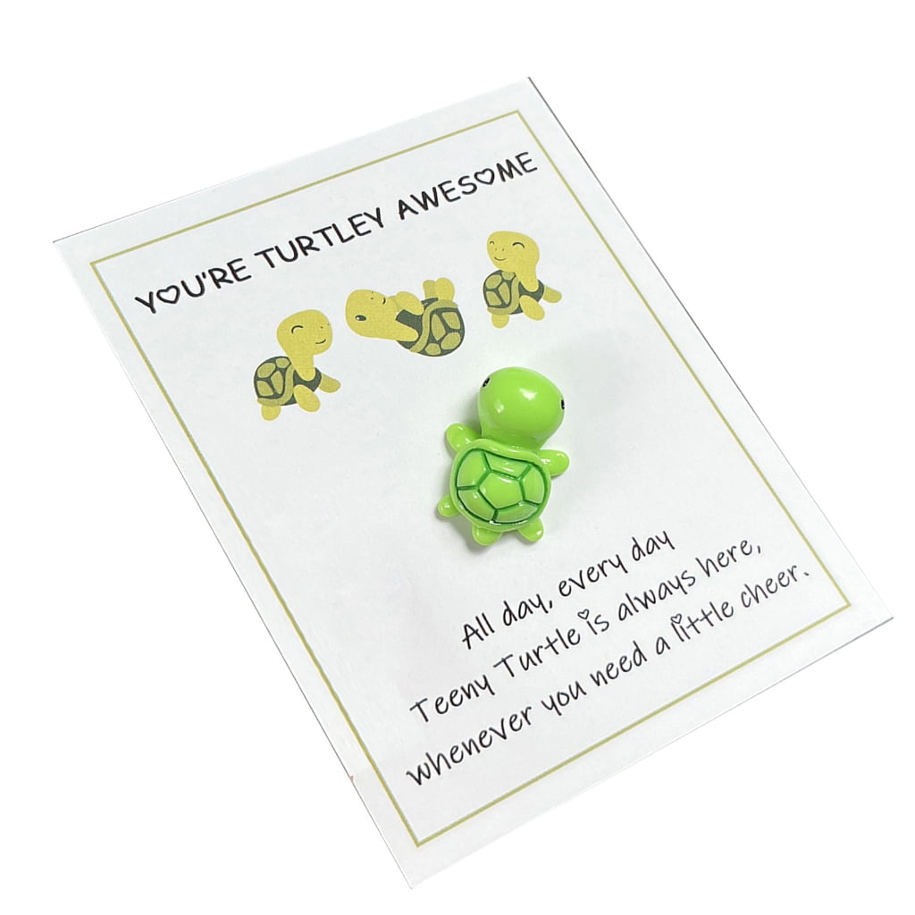 YIGSECU Tortoises Toy Pockets Hug Turtles Card Emotional Supports Sea ...