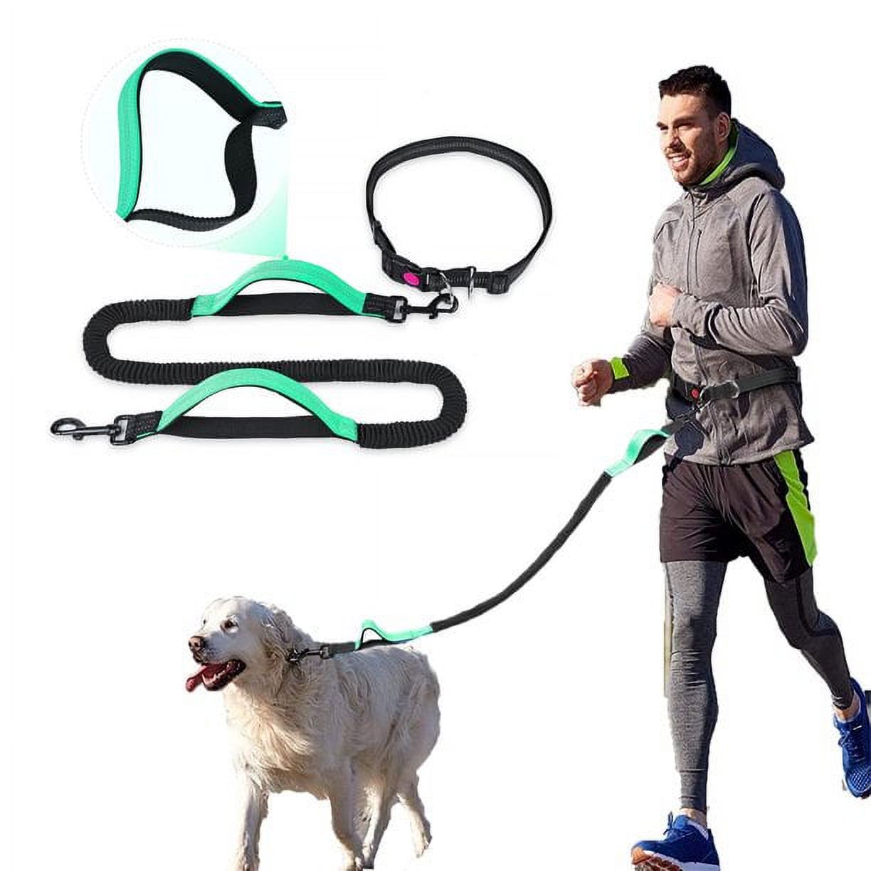 Walky Dog Plus Hands Free Bicycle Dog Leash Exerciser - Walmart.com