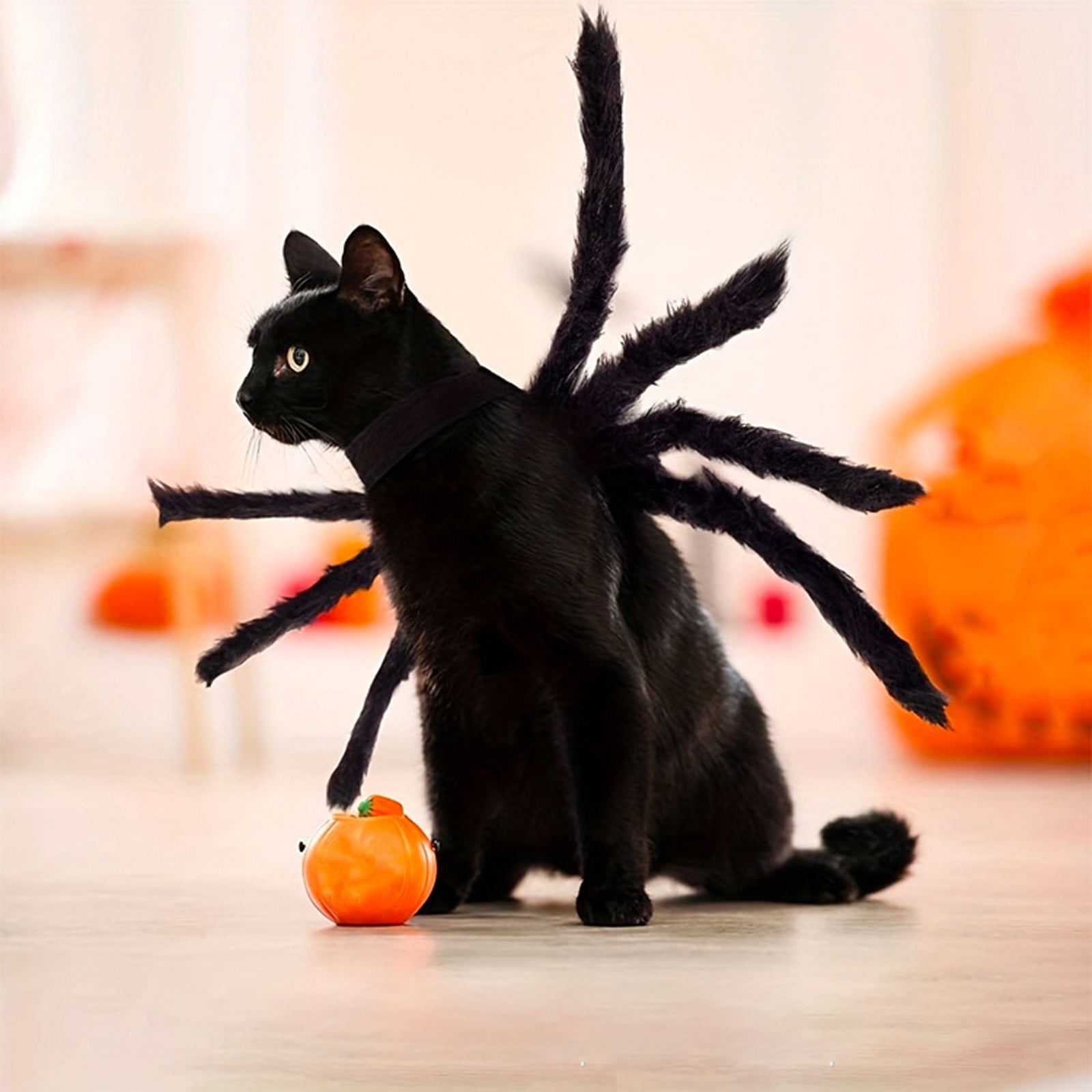 YIMWNYI Halloween Spooky Spider Chest Pet Costume, Adjustable Costume ...
