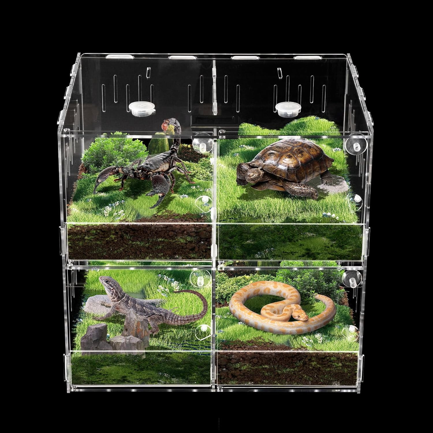 YING 4 Grids Acrylic Tarantula Enclosure Feeding Box Clear Spider ...