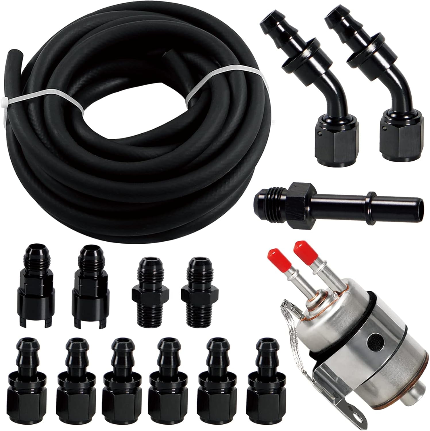 YIUIY Fuel Injection Line Fitting Adapter Kit EFI FI w/Filter/Regulator ...