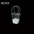 YIWUHOTXIAOHU Transparent PVC 30-Pack Trapezoid Gift Bags with Handles ...