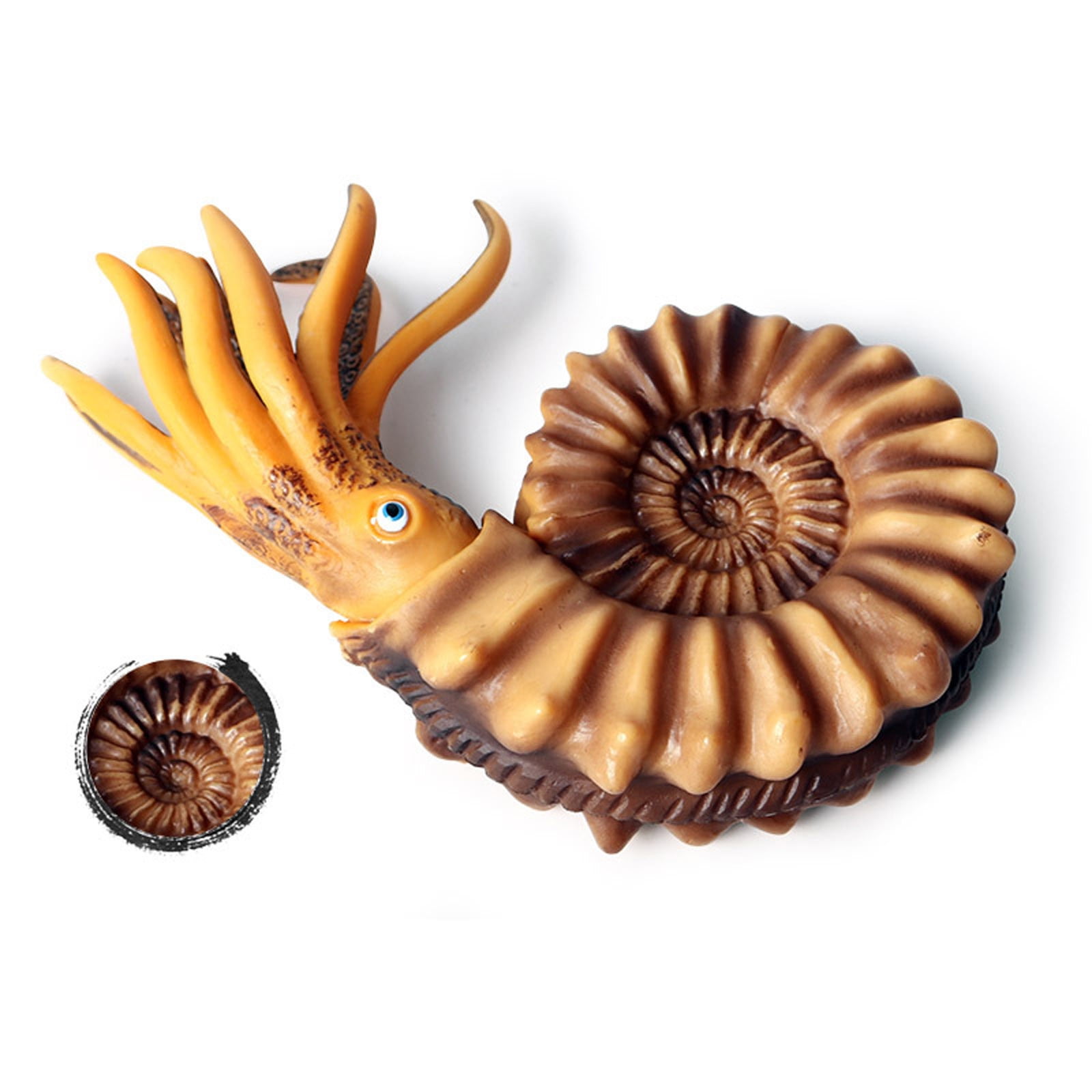 YIYQI Novelty funny toy Prehistoric Sea Creatures Figurine Marrella ...