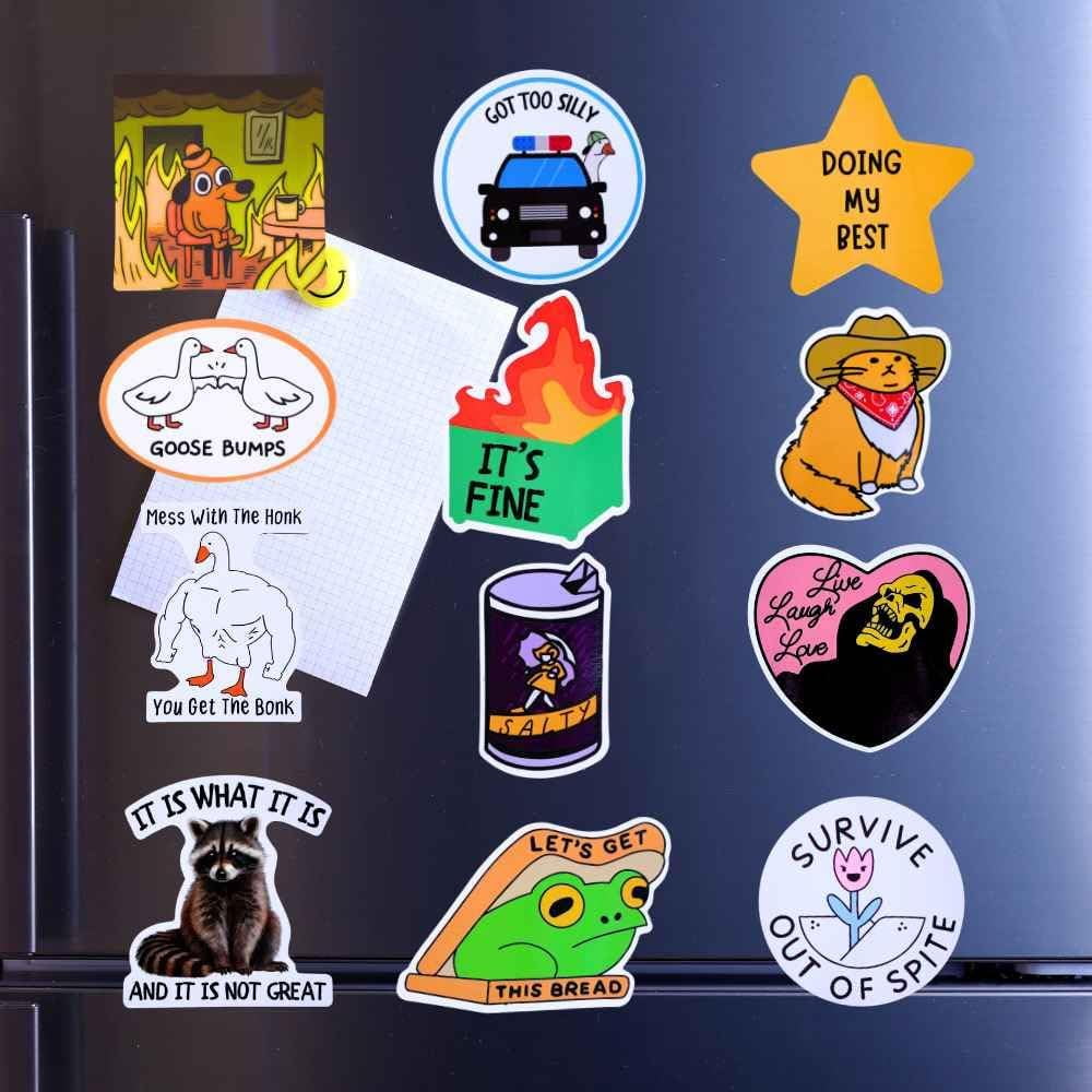 YJ PREMIUMS 12PC Funny Fridge Magnets Cute Fun Sassy Quirky Novelty ...