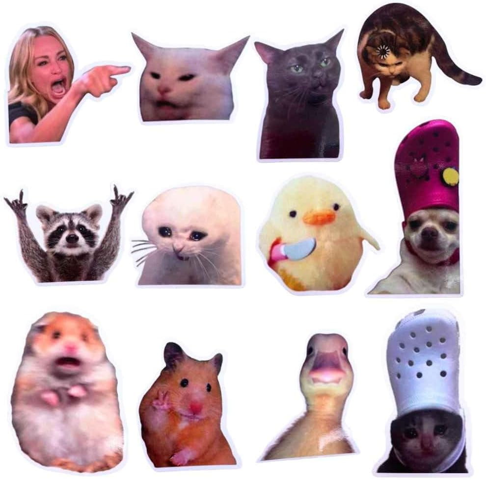 YJ PREMIUMS 12PC Funny Meme Animals Fridge Magnets, Fun Cute Weird ... YJ PREMIUMS 12PC Funny Meme Animals Fridge Magnets, Fun Cute Weird ...