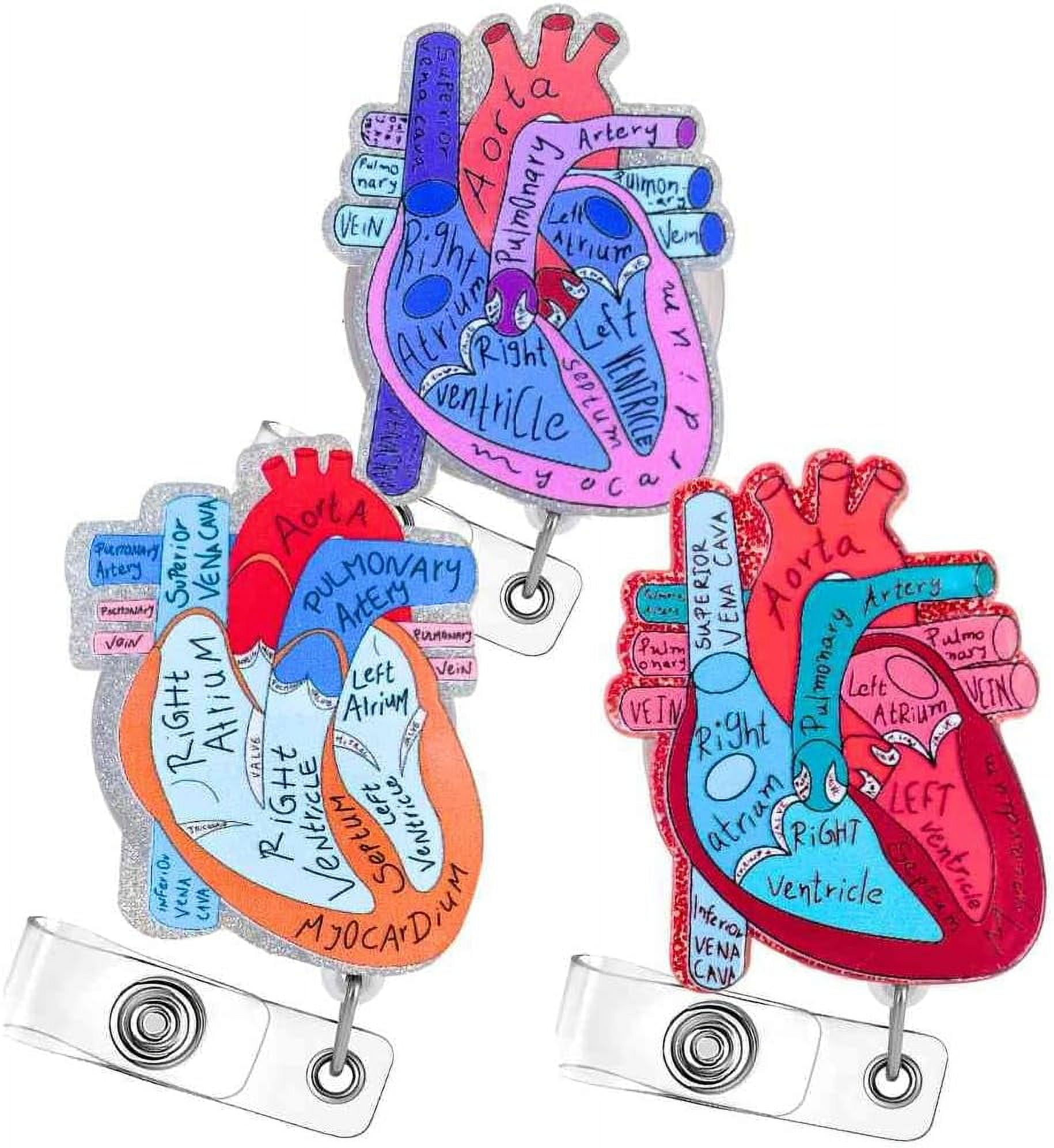 YJ Premiums 3pcs Cardiac Heart Phlebotomy Badge Reel Holder Retractable ...