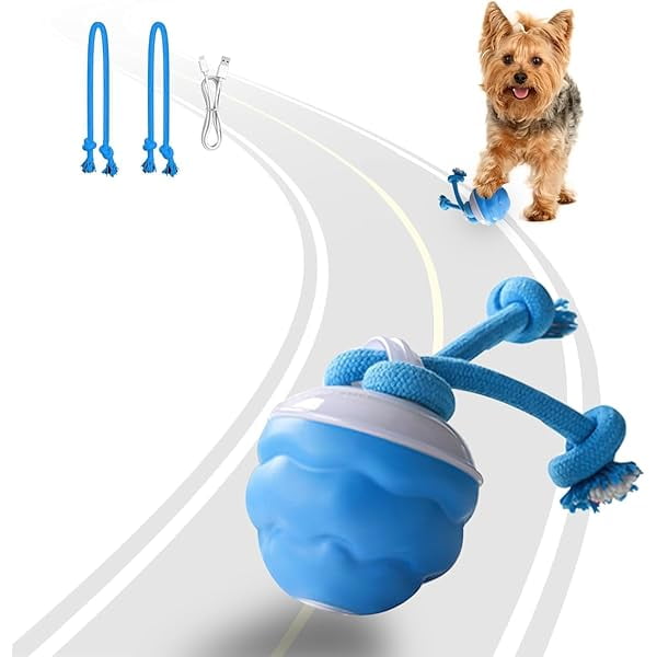 YJJSKEJI Interactive Dog Toys Ball - Fun Moving Dog Toys to Keep Them ...