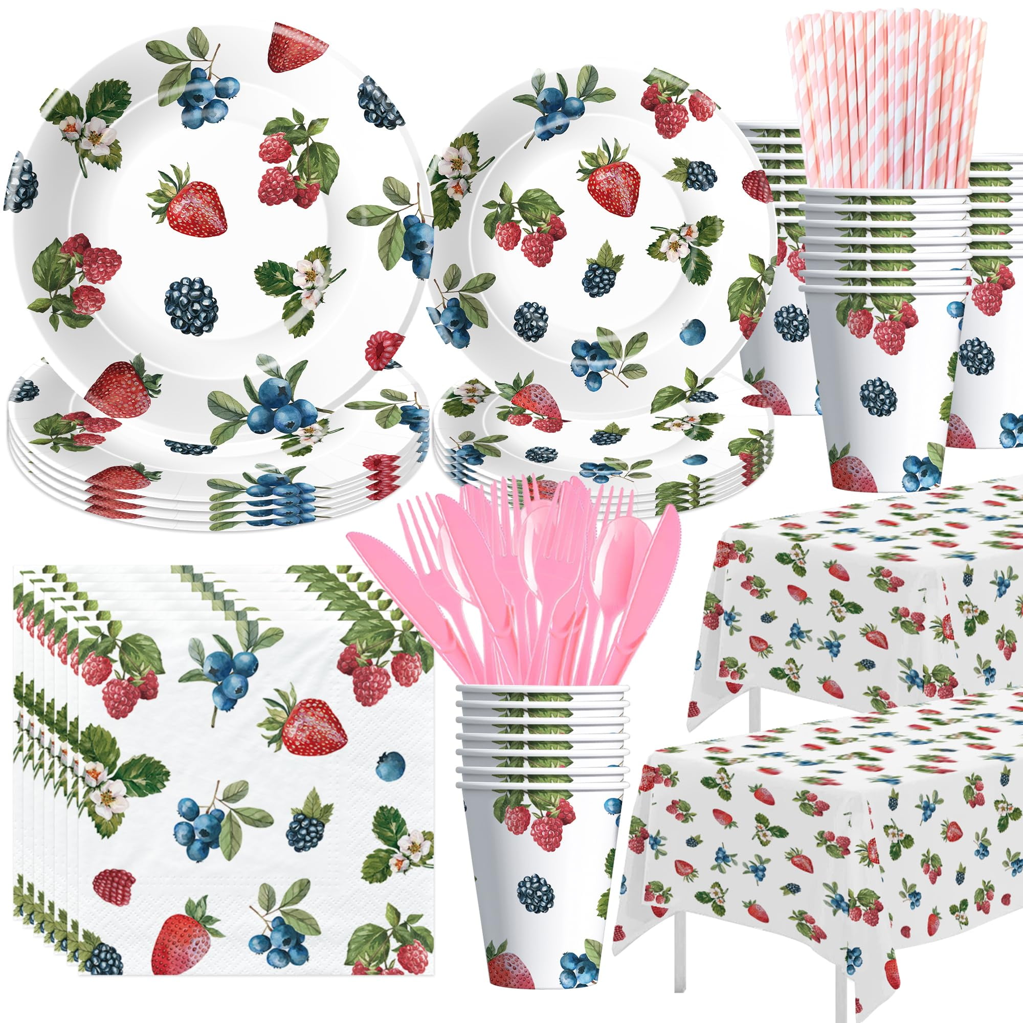 YJRJSC Berry Birthday AJH3 Party Supplies - Blueberry Strawberry Party ...