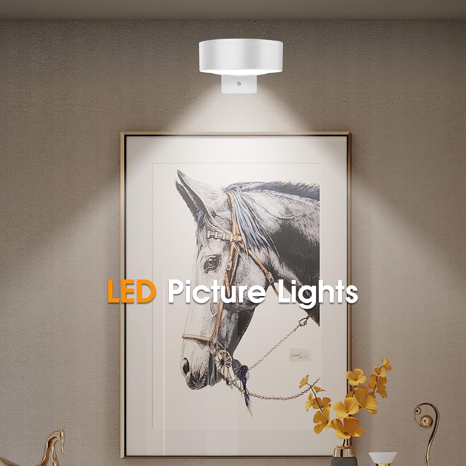 YJYASX-Picture Lights for Wall, 3 Lighting Modes Magnetic Art Display ...