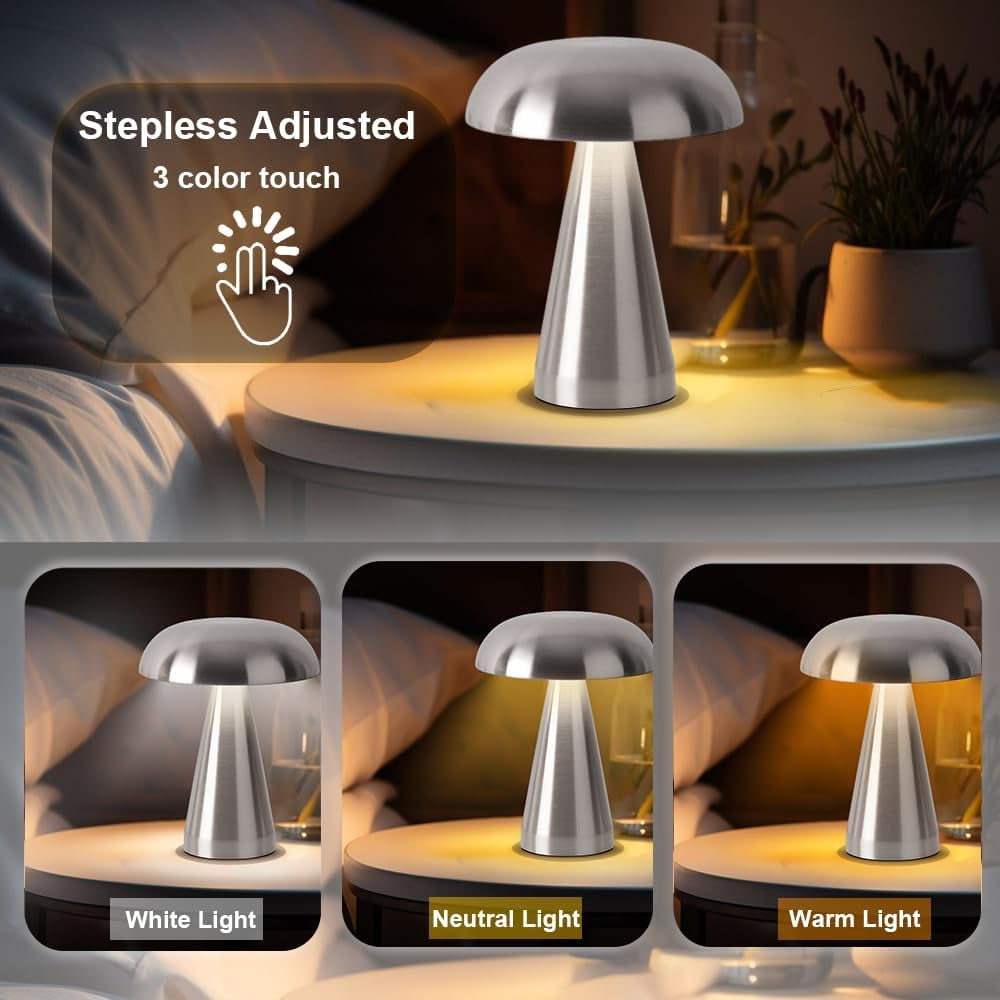 YJYASX-Portable LED Desk Lamp, Cordless Metal Table Lamp, 3-Color Touch ...