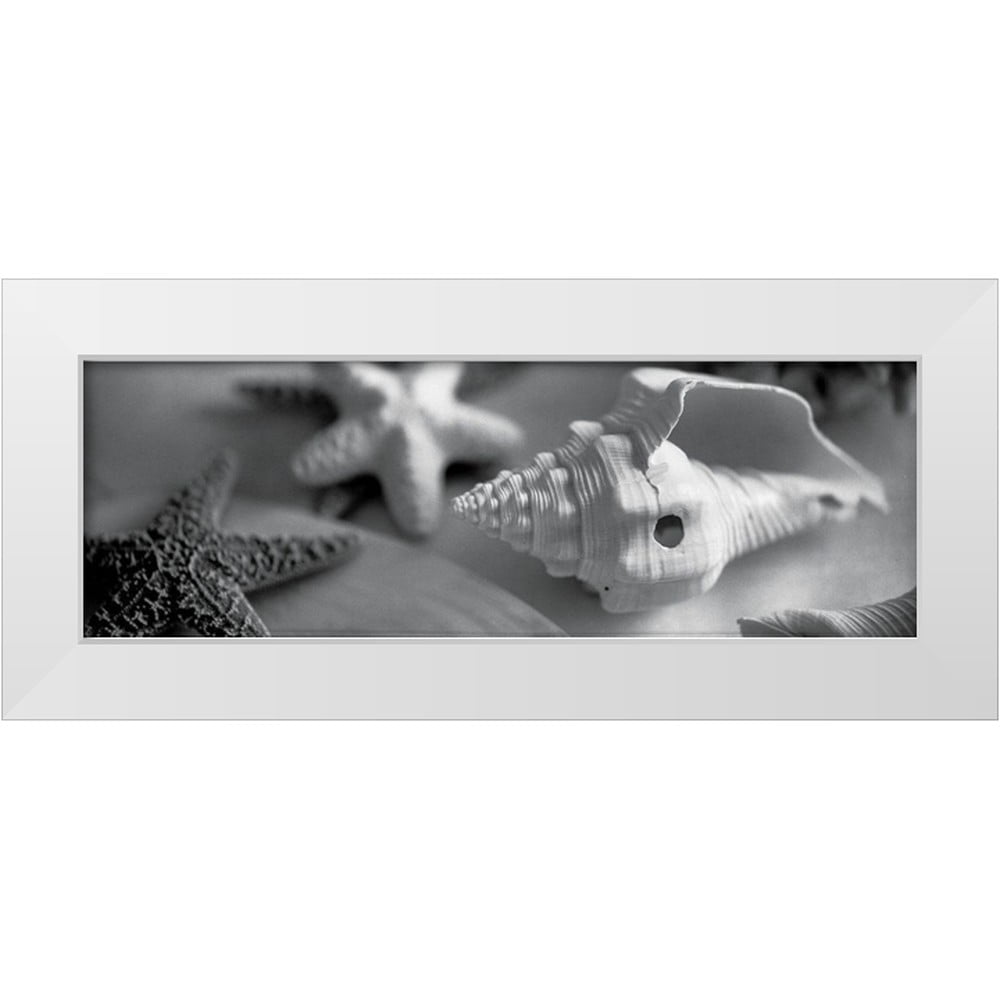 YK Studios 24x11 White Modern Wood Framed Museum Art Print Titled ...