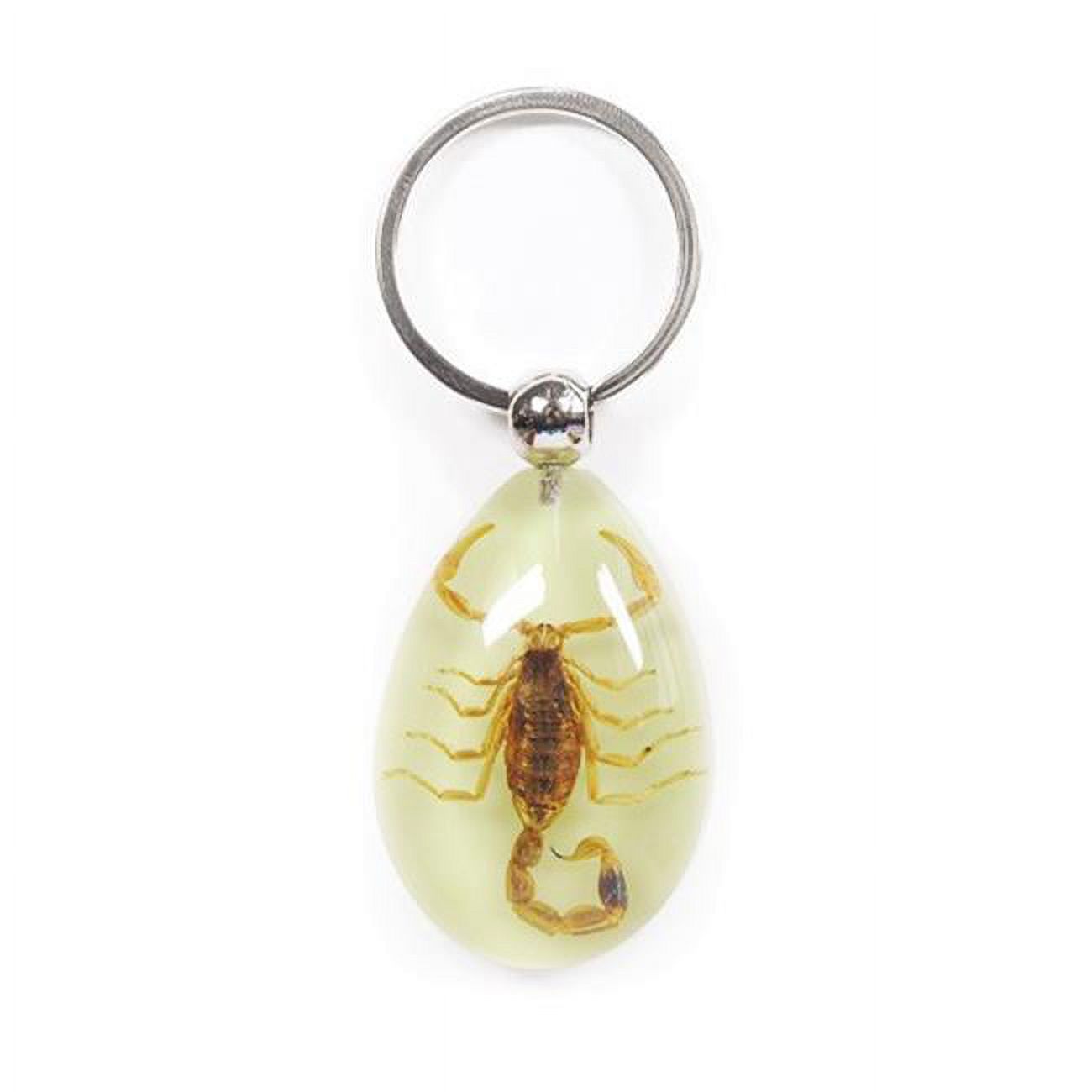 YK603 Real Bug Key Chain-Tear Drop Shape-Glow in the Dark-Gold Scorpion - Walmart.com