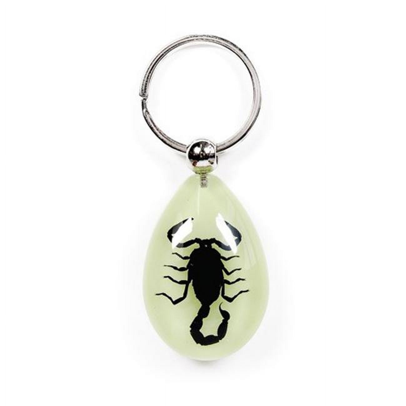 YK608 Real Bug Key Chain-Tear Drop Shape-Glow in the Dark-Black ...