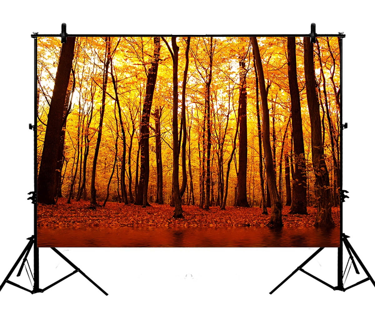 YKCG 7x5ft Autumn Forest Lake Birch Trees Photography Backdrops ...